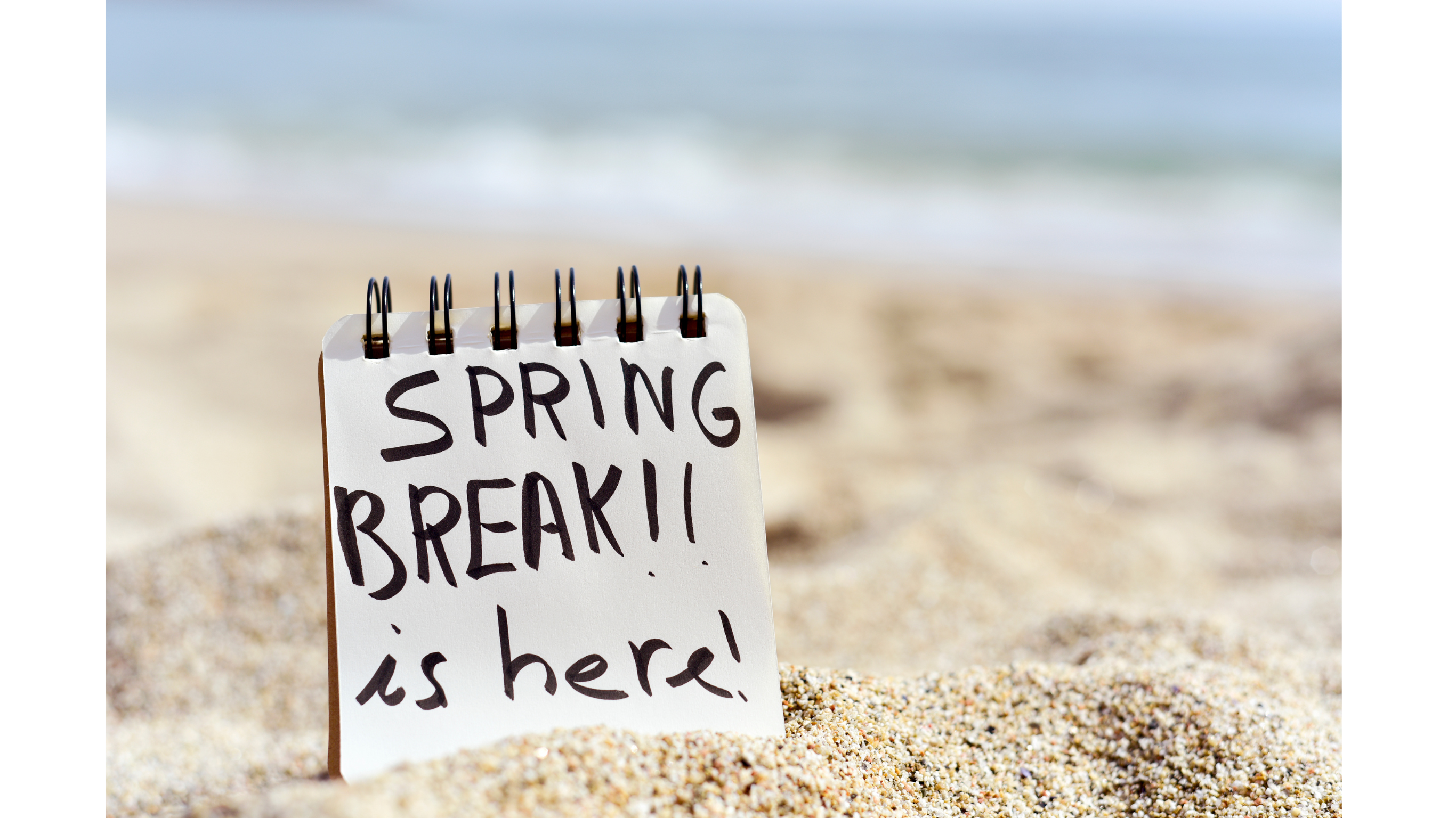Top 10 Young Adult Books to Read During Spring Break – Once Upon a Book ...