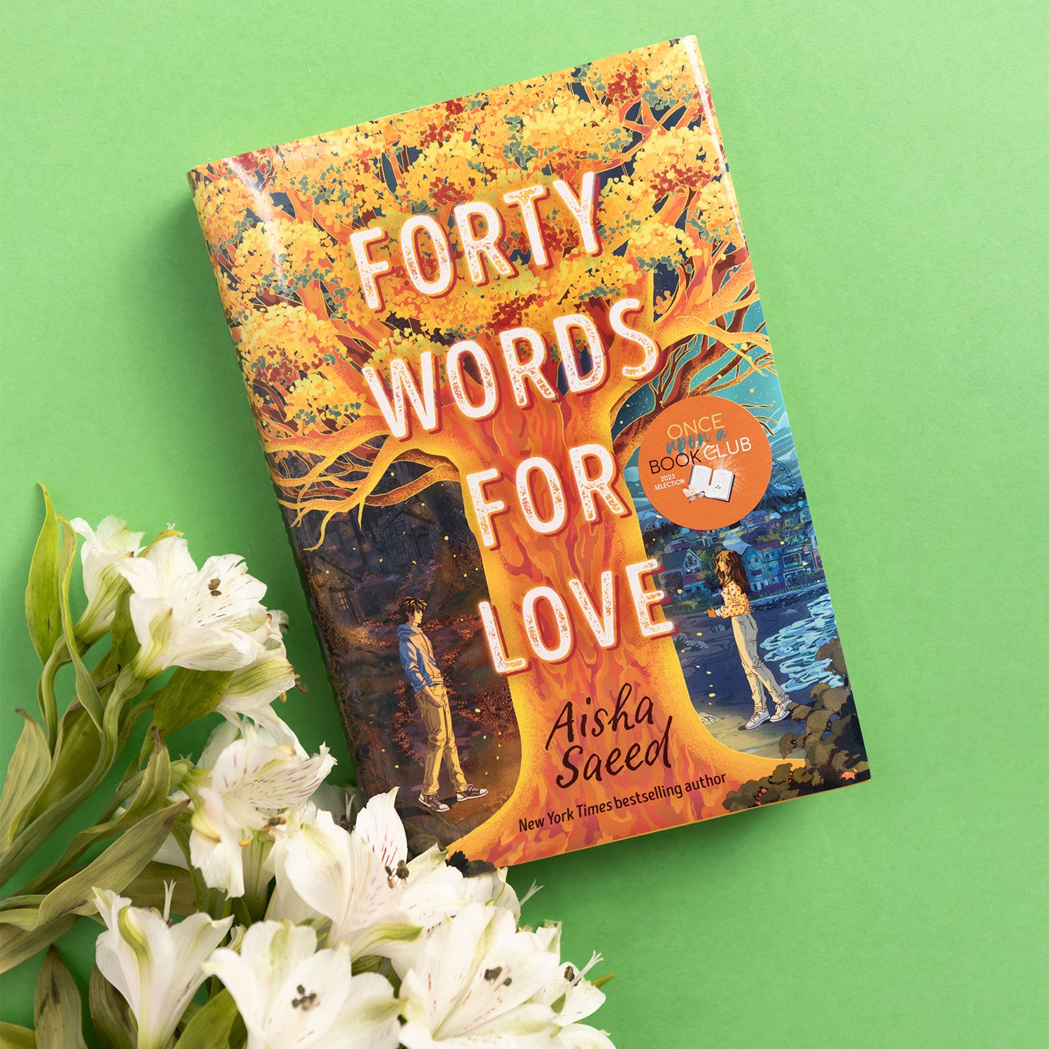 Forty Words of Love by Aisha Saeed - Once Upon a Book Club