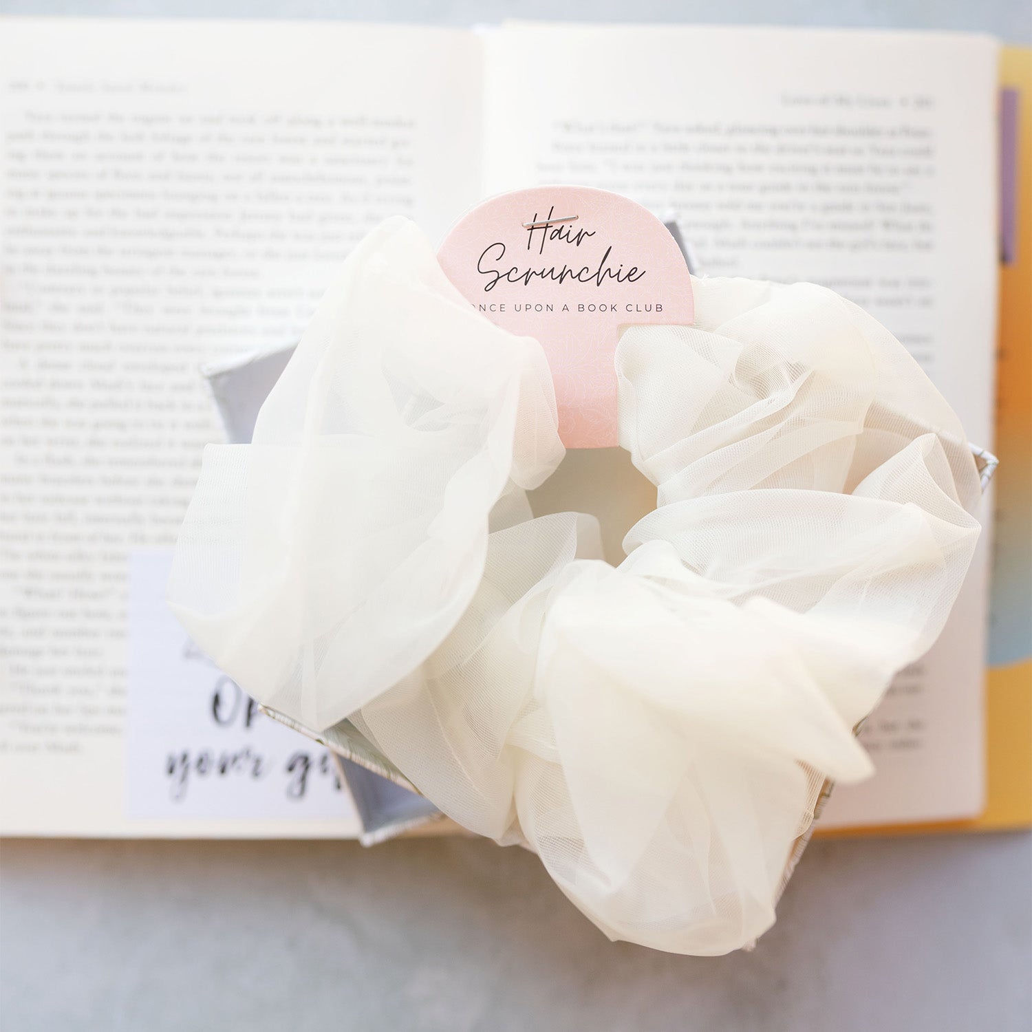 Steer Your Own Dreams - Scrunchie (Sold Out) – Once Upon a Book Club