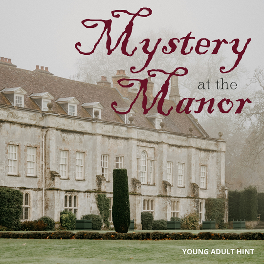 Mystery at the Manor | YA Fantasy Book Box – Once Upon a Book Club