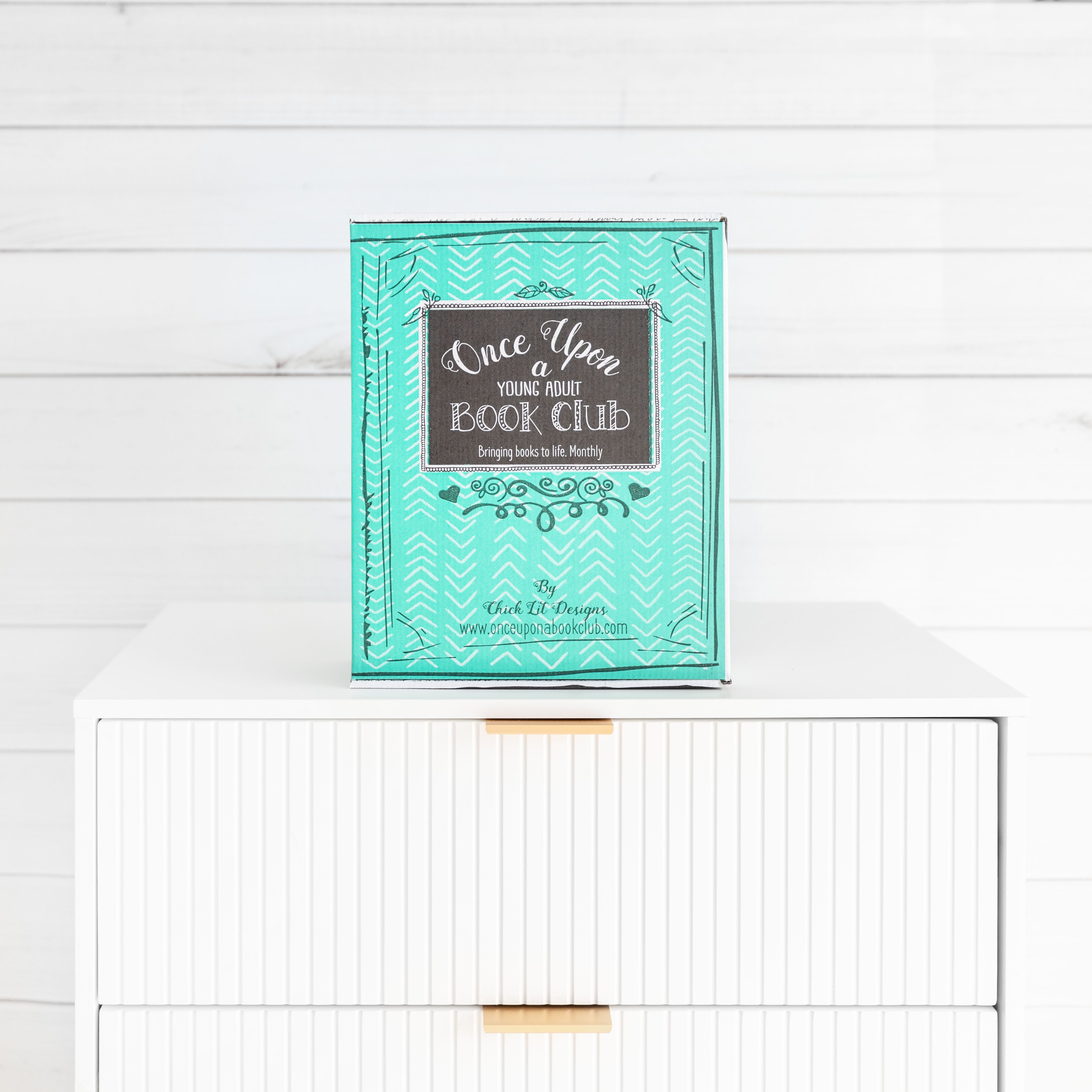 Young Adult Book Box One Month Gift – Once Upon a Book Club