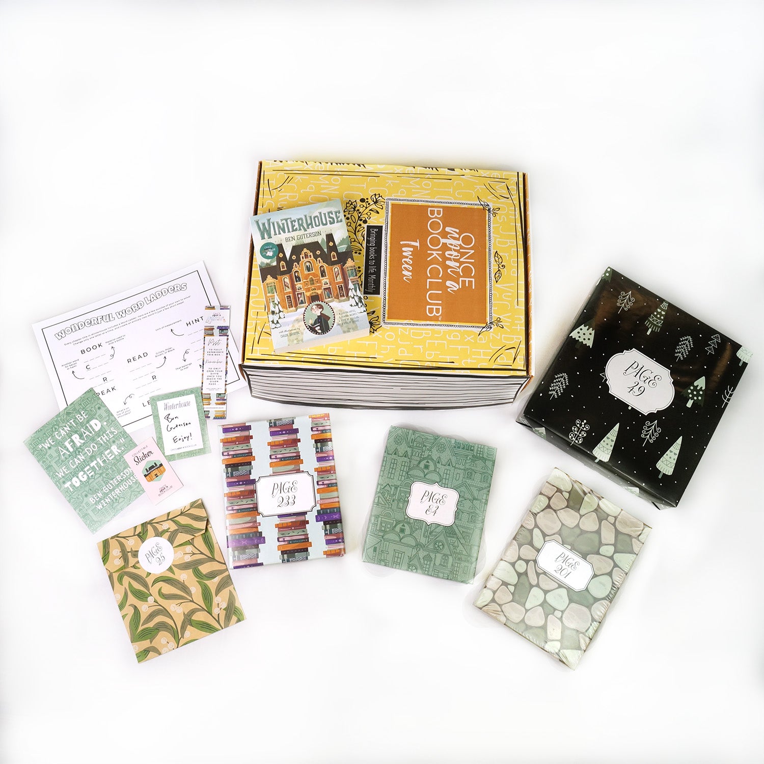 January 2025 Tween Book Box: A Daring Hunt for Clues + 5 Gifts – Once ...